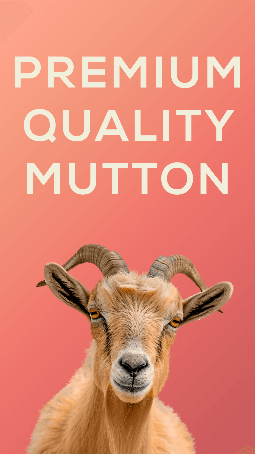 MeatPoint: Export Quality Meat at your doorsteps